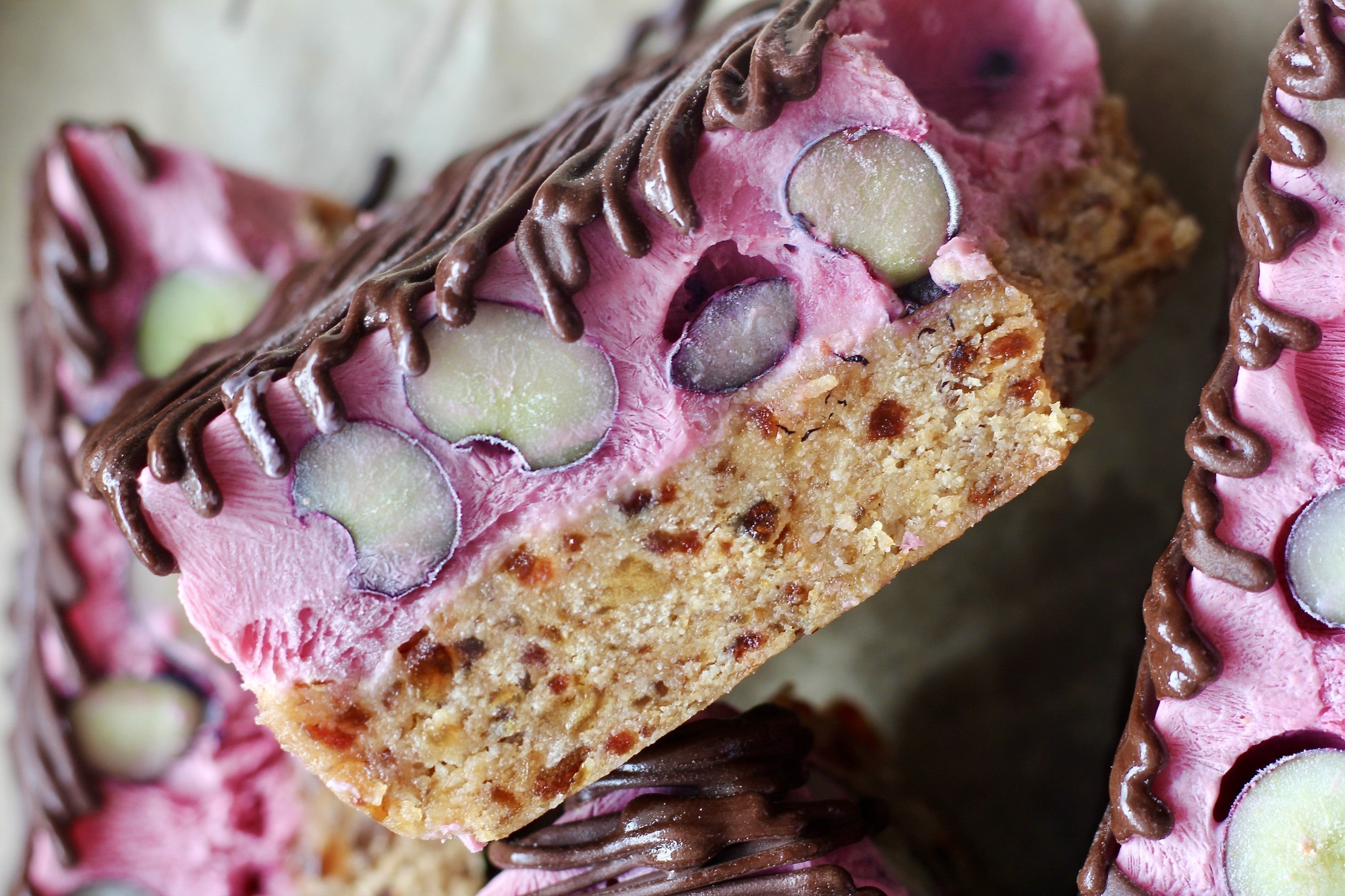 GutBiome Balance Berry Bar – Harker Herbals